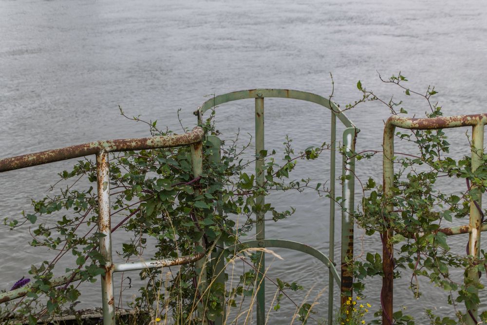 Abstieg oder Aufstieg? unten fliesst der Rhein Foto & Bild | marodes, projekte, specials Bilder ...