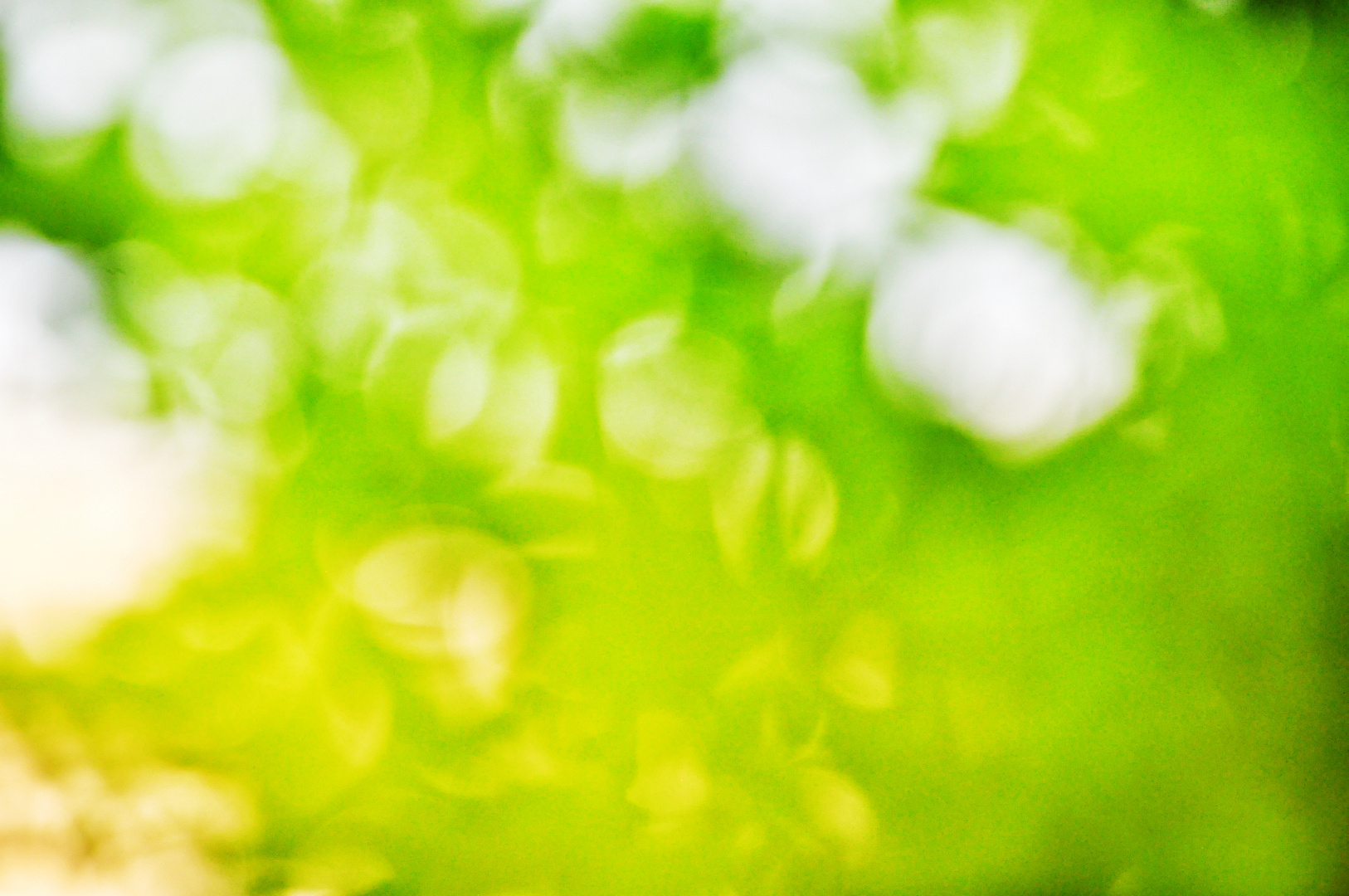 Abstrakt Sommer Foto & Bild | spezial, sonne, sonnenschein Bilder auf ...