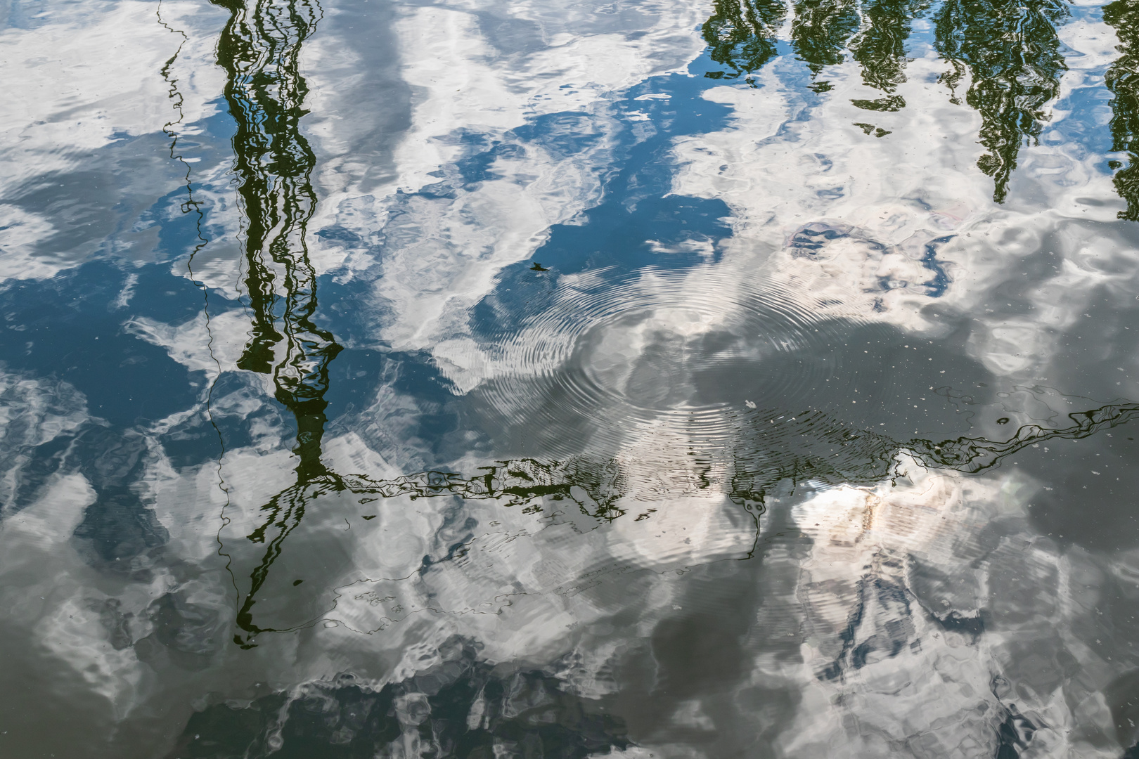 Abstraktion im Wasser Foto & Bild | art, spezial, wasser Bilder auf fotocommunity