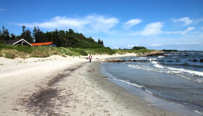 World Bilder & Fotos