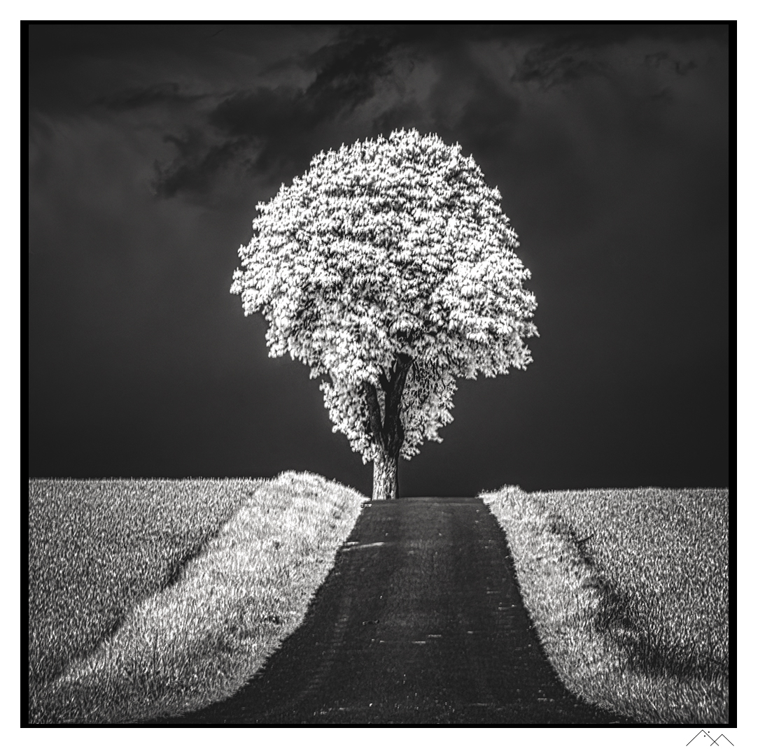 Abweichung Foto & Bild | infrarot, techniken, fotokunst Bilder auf ...