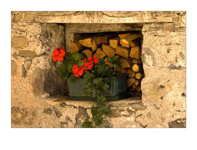 Ach ja....... Foto & Bild | stillleben, motive, zufällige arrangements ...