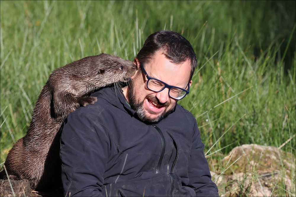 Achim Foto & Bild | natur, tiere, raubtiere Bilder auf fotocommunity