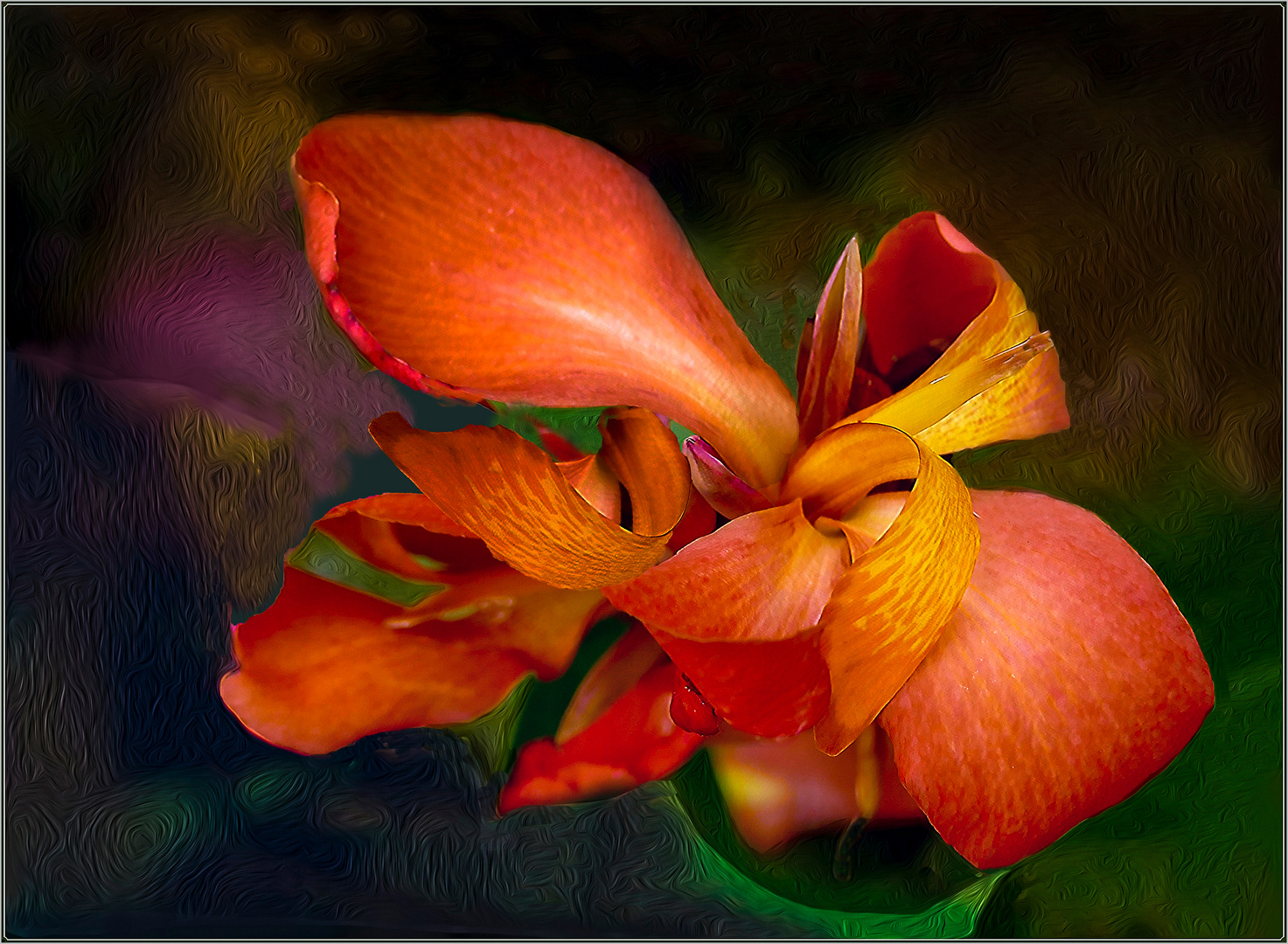 ACHIRA Foto & Bild | blumen , fotos, spezial Bilder auf fotocommunity