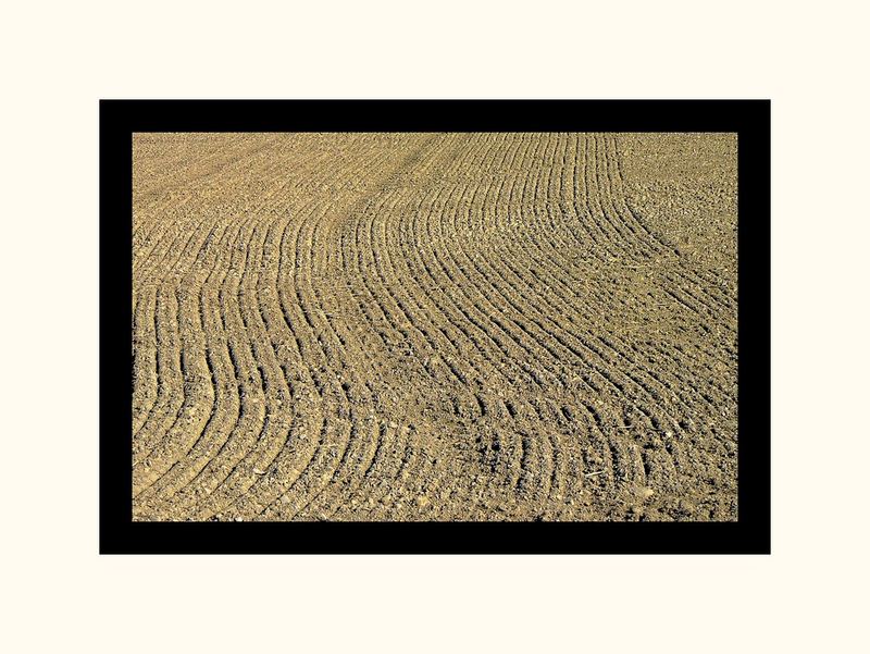 Acker #2 Foto & Bild | landschaft, Äcker, felder & wiesen, natur Bilder ...