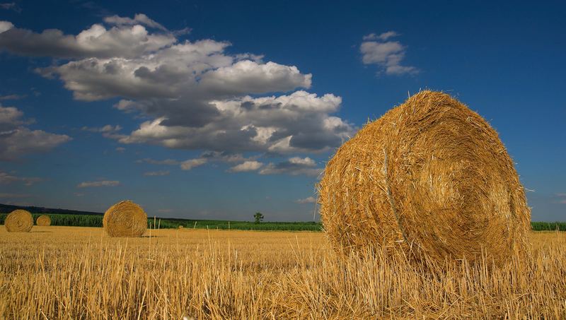 Acker Foto & Bild | landschaft, Äcker, felder & wiesen, natur Bilder ...