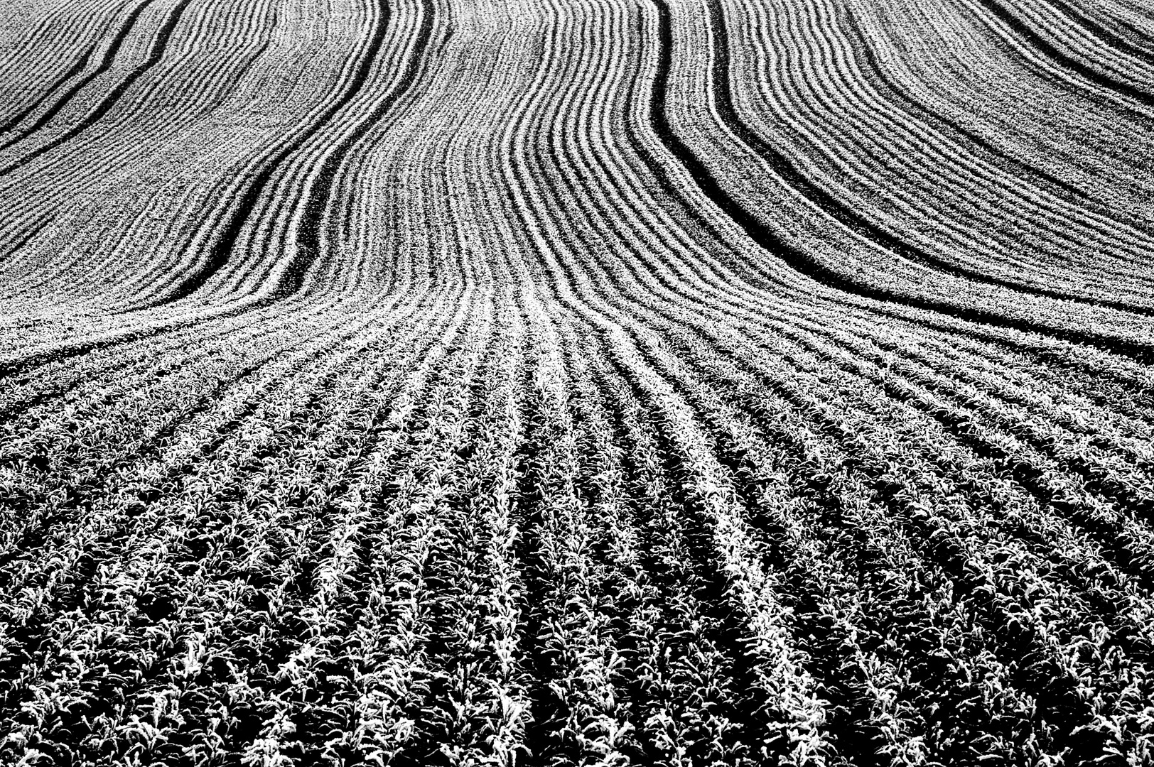 Acker Foto & Bild | abstraktes, landschaft, jahreszeiten Bilder auf ...