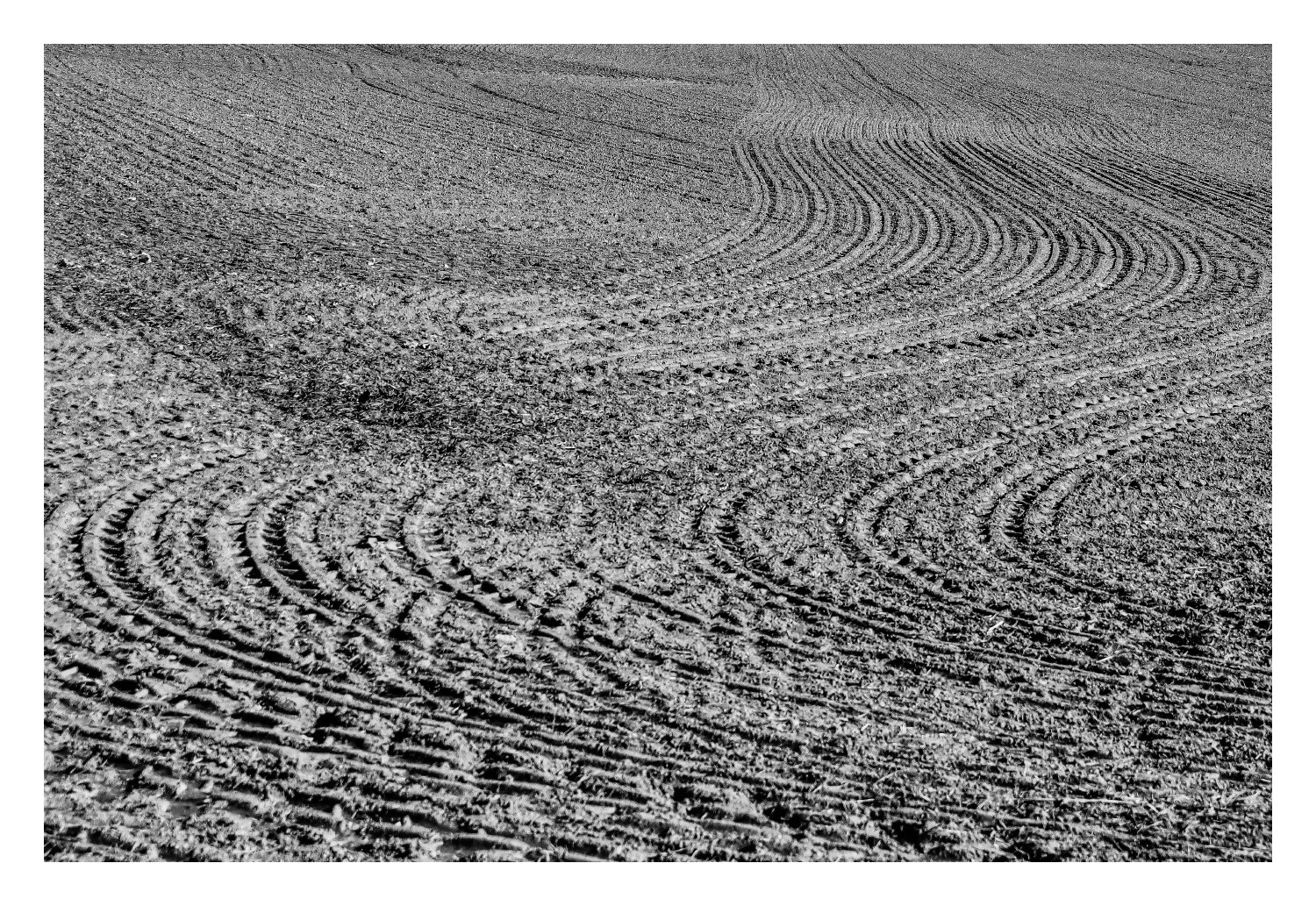 Acker Foto & Bild | licht, sw, natur Bilder auf fotocommunity