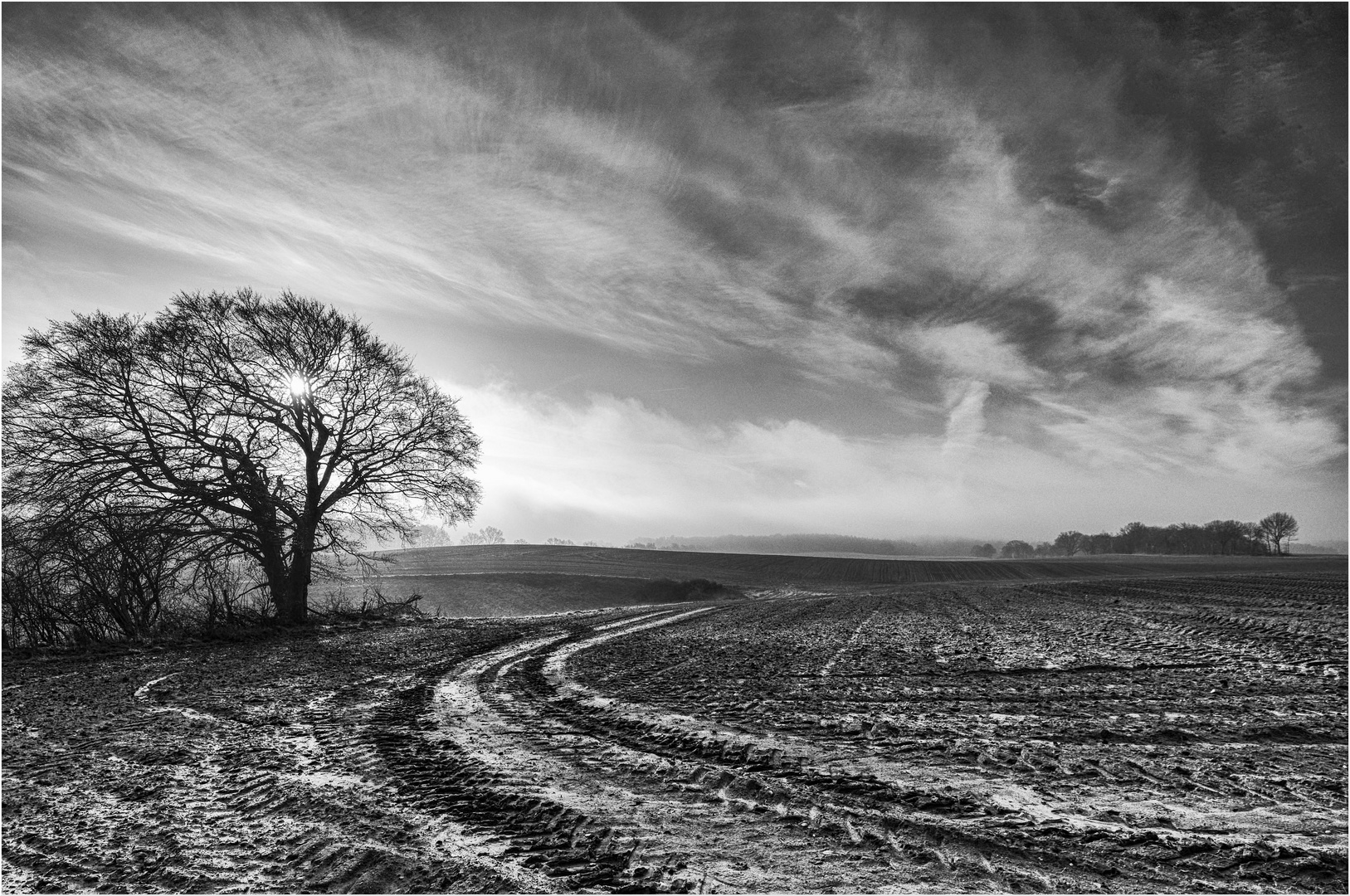 Acker Foto & Bild | world, outdoor, sw Bilder auf fotocommunity