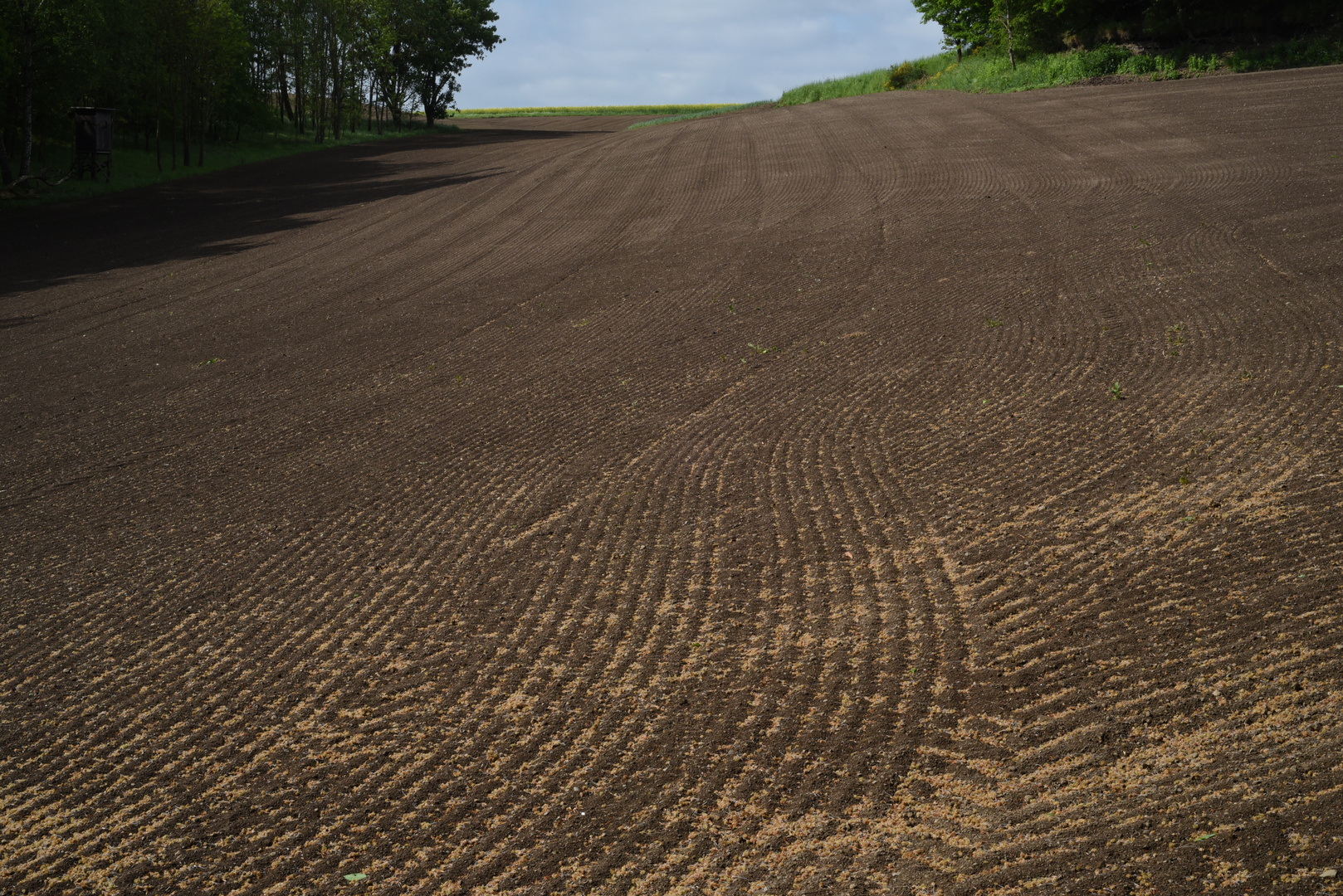 Ackerfurchen Foto & Bild | landschaft, kulturlandschaften, sommer ...