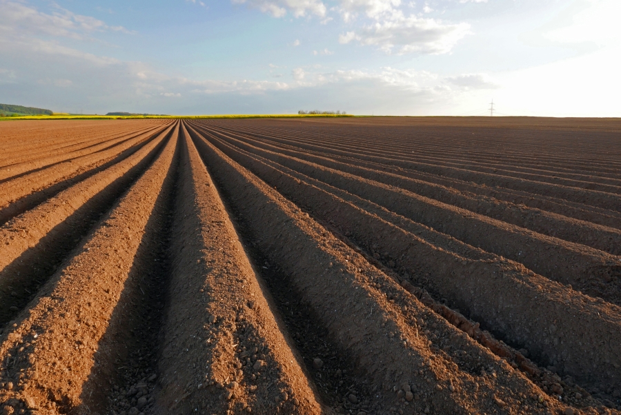 Ackerfurchen Foto & Bild | natur, landschaft, pflanzen Bilder auf ...