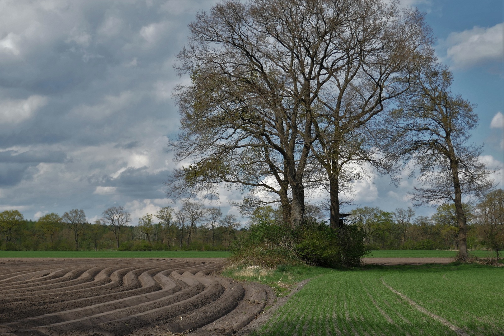 Ackerfurchen Foto & Bild | landschaft, emsland, bäume Bilder auf ...