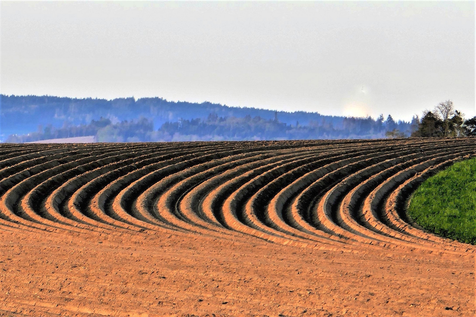Ackerwellen Foto & Bild | landschaft, kulturlandschaften, acker Bilder ...