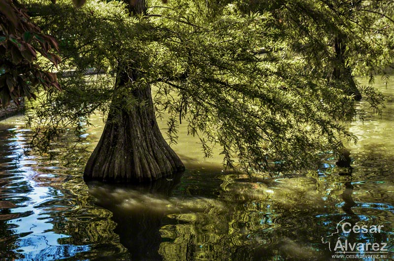 Acuatica Imagen & Foto | españa, lago, color Fotos de fotocommunity