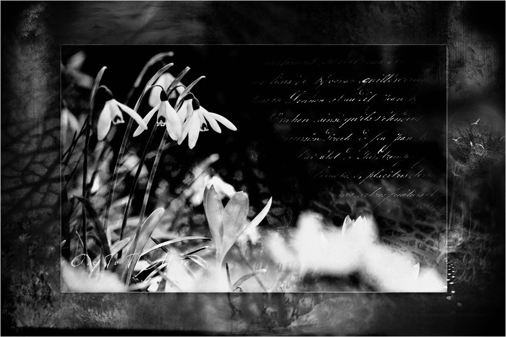 adieu Andreas Foto & Bild | trauer - abschied von usern, trauer, trauer ...