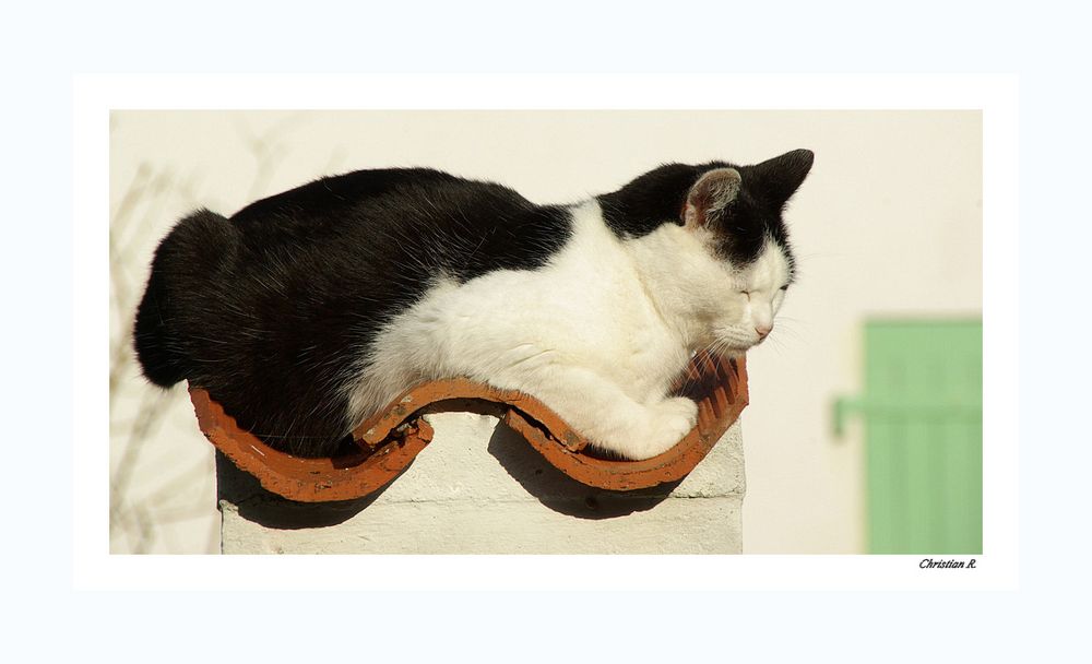 Adieu... photo et image | deuil, special Images fotocommunity