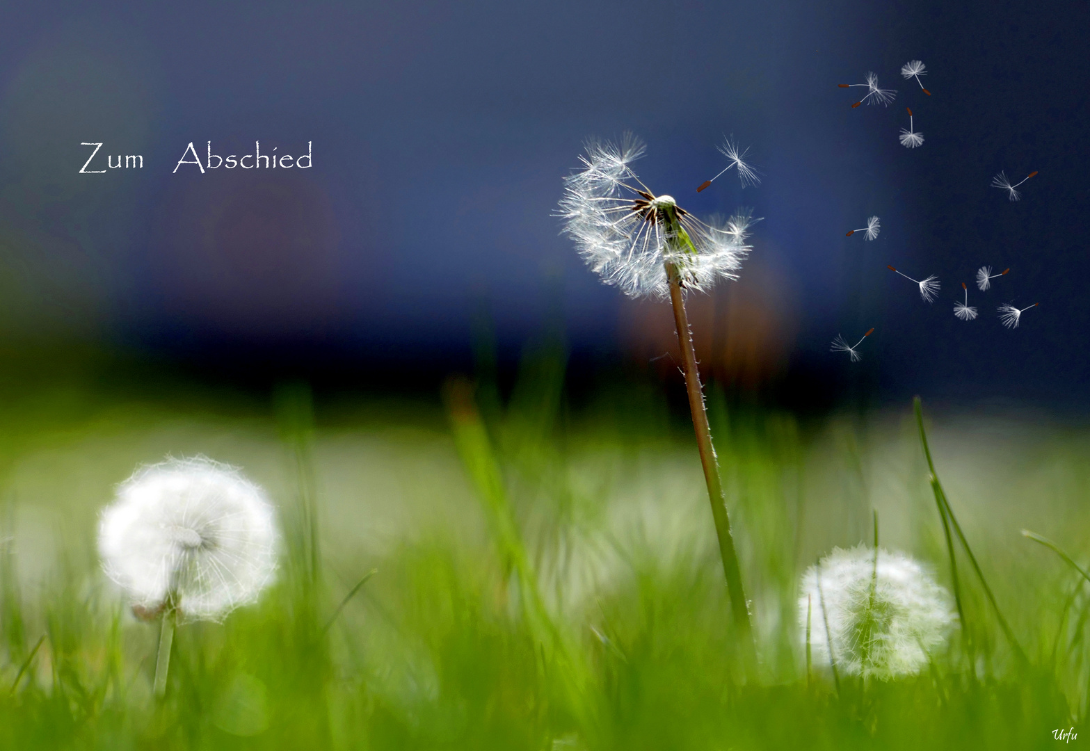 Adieu liebe Rike (1862) Foto & Bild | spezial, trauer, tod Bilder auf ...