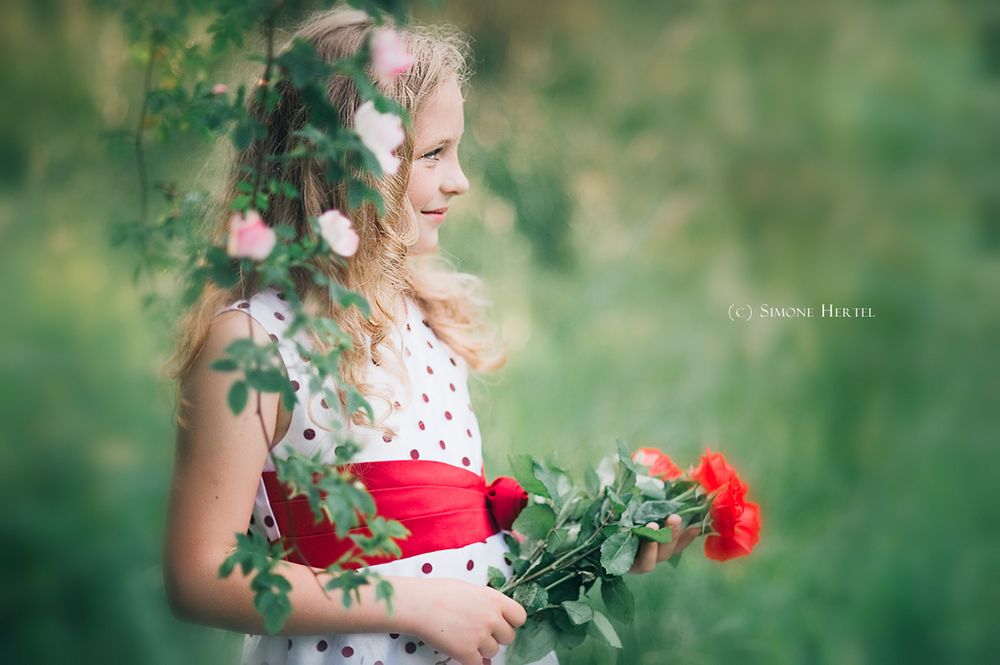 Adieu Sommer Foto & Bild | rot, sommer, grün Bilder auf fotocommunity