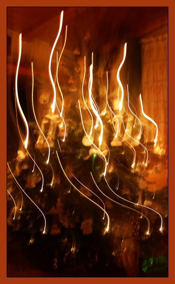 Advent Advent der Christbaum brennt!!! Foto & Bild | quatsch, fun und ...