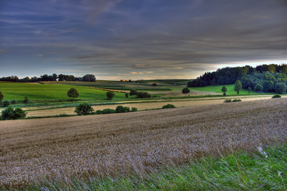 Äcker, Felder, Wiesen... - Bild & Foto von Wb H aus DigitalPHOTO ...