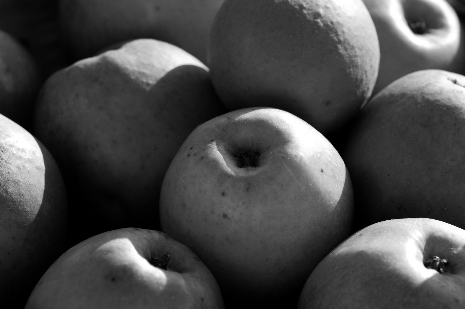 Äpfel Foto & Bild | fotokunst, monochrome fine art, spezial Bilder auf ...