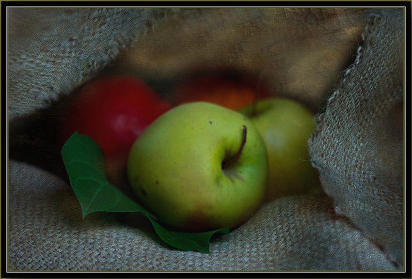Äpfel Foto & Bild | stillleben , nature, stillleben Bilder auf ...