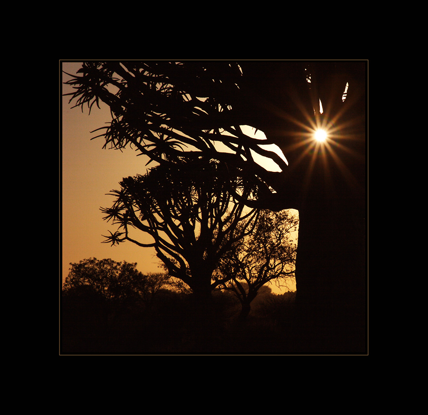 African Sun Foto & Bild | africa, southern africa, namibia Bilder auf ...