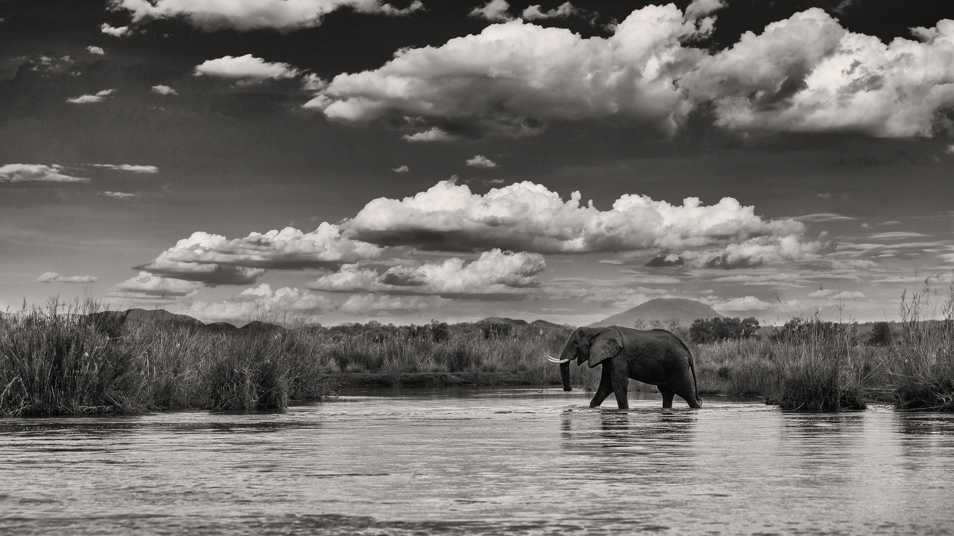 Afrika! In Monochrom Foto & Bild | world, outdoor, natur Bilder auf ...