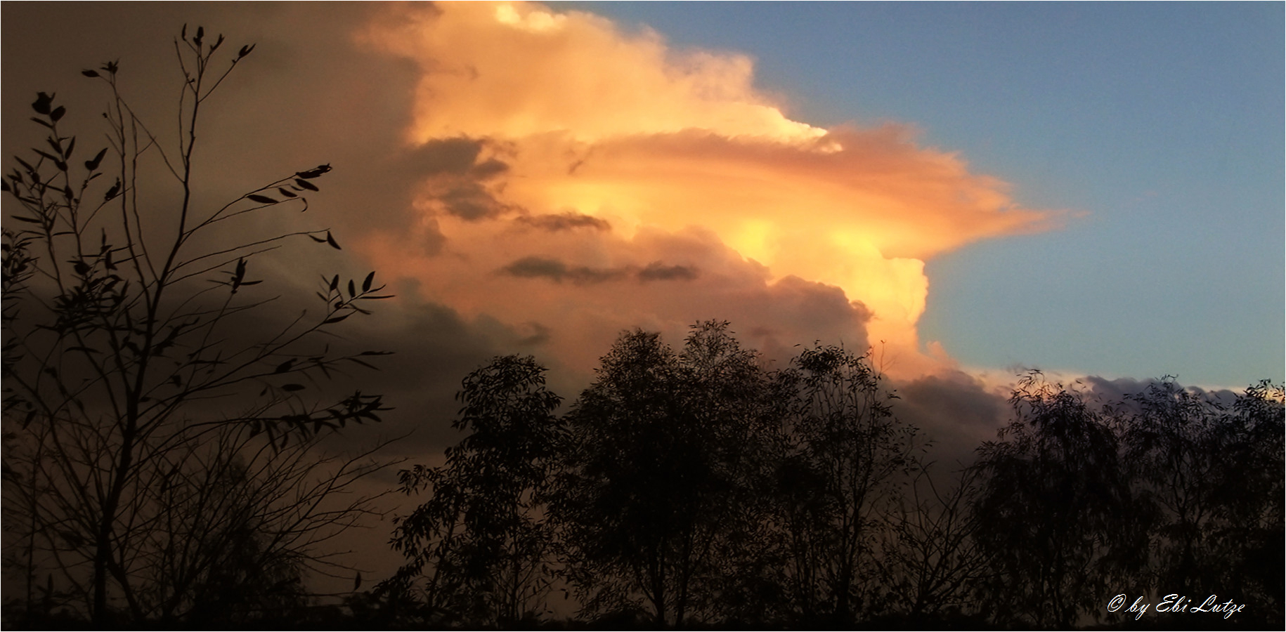 ** After heavy Rain / Kynuna ** Foto & Bild | australia & oceania ...