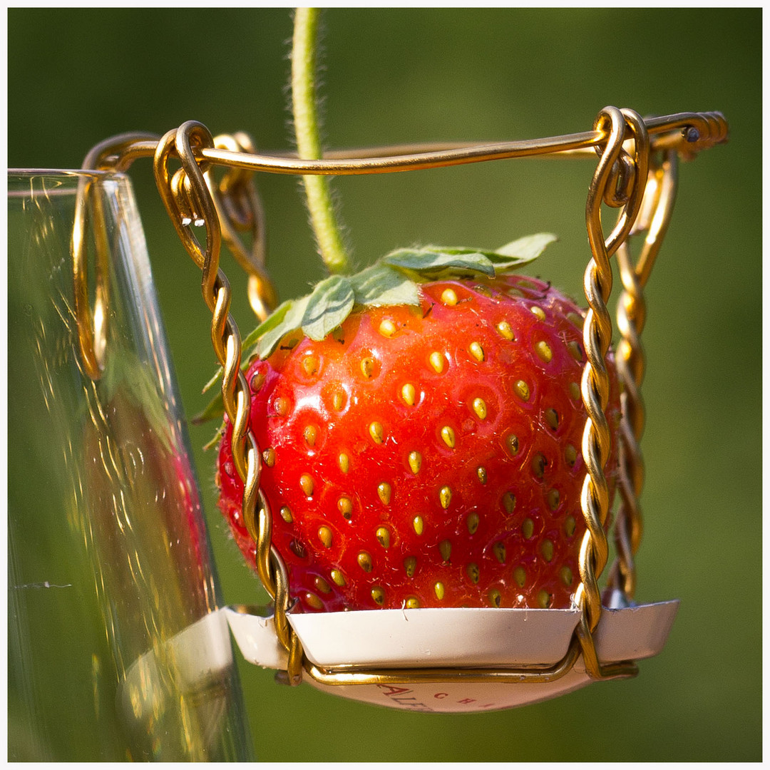 Agraffe Foto & Bild | stillleben, food-fotografie, obst & gemüse Bilder ...