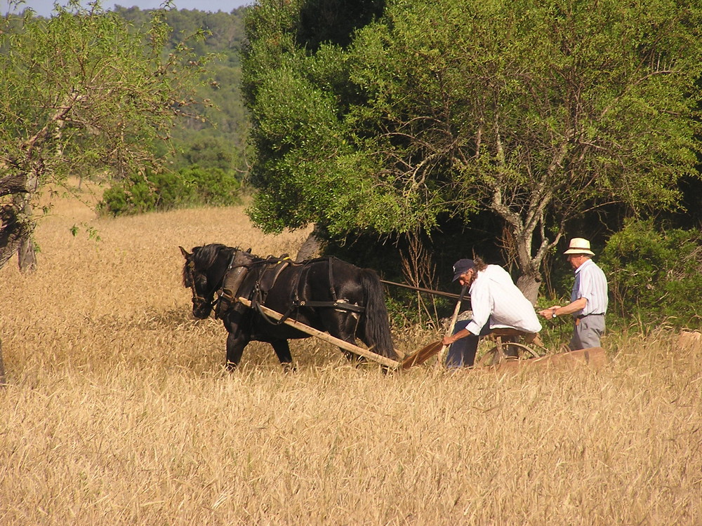 Agricultura Tradicional Viva Imagen & Foto | paisajes, naturaleza Fotos ...