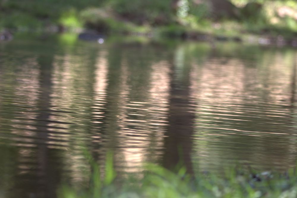 Agua Imagen & Foto | natur, naturaleza, agua Fotos de fotocommunity