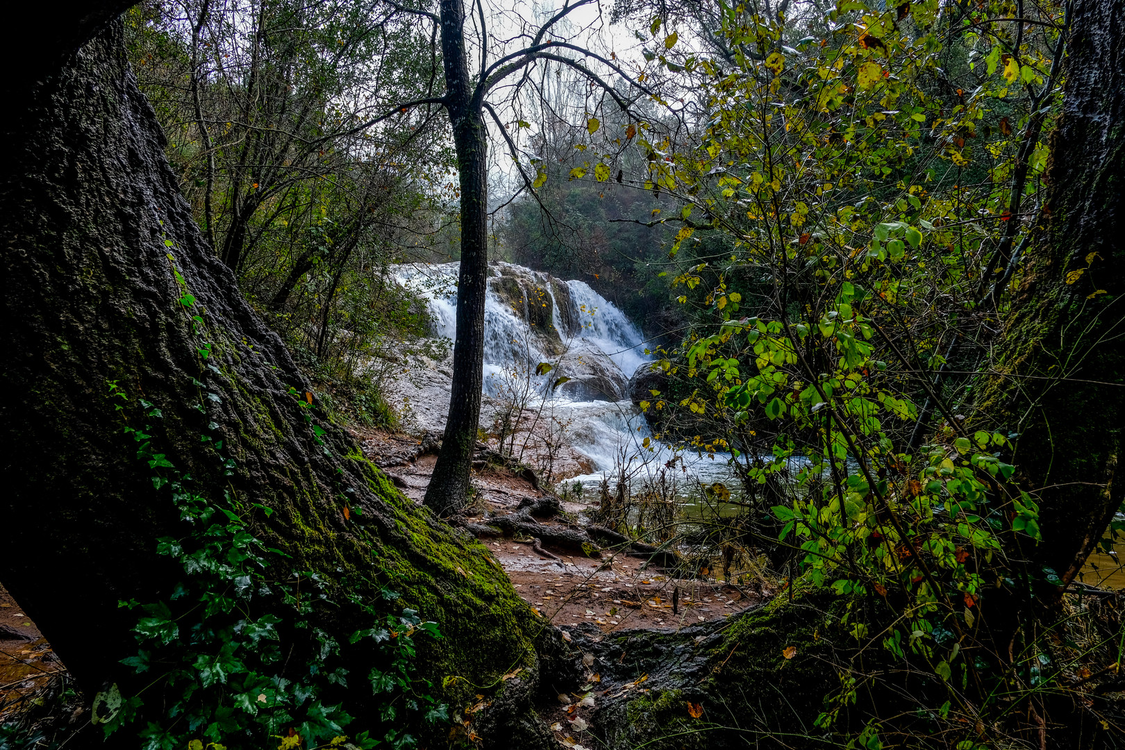 Agua y Agua. Imagen & Foto | natur Fotos de fotocommunity