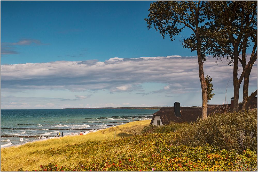 Ahrenshoop Foto & Bild | urlaub, world, sommer Bilder auf fotocommunity