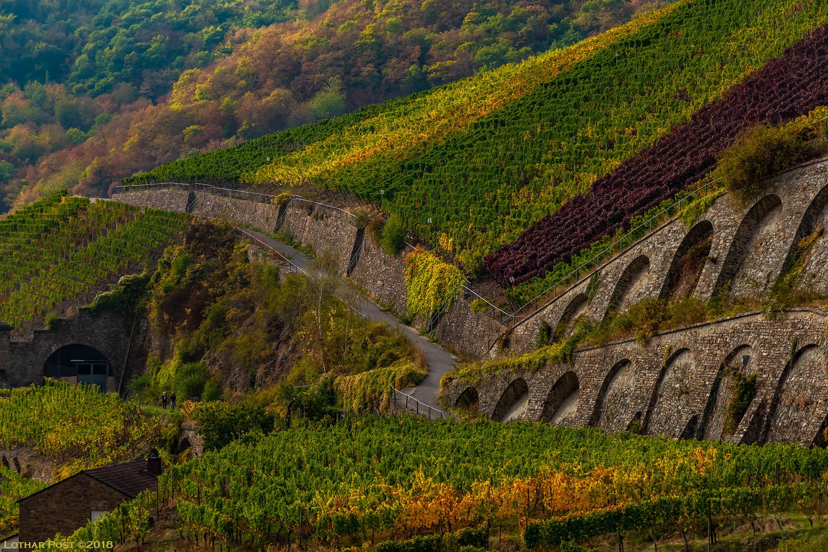 Ahrtal #11 Foto & Bild | world, gelb, natur Bilder auf fotocommunity