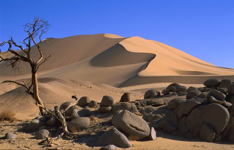 Air-Tenere Foto & Bild | africa, north africa, world Bilder auf ...