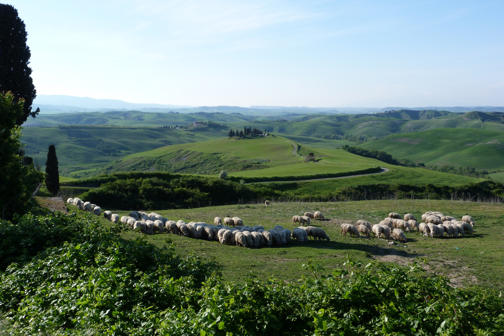 al pascolo Foto % Immagini| natura Foto su fotocommunity