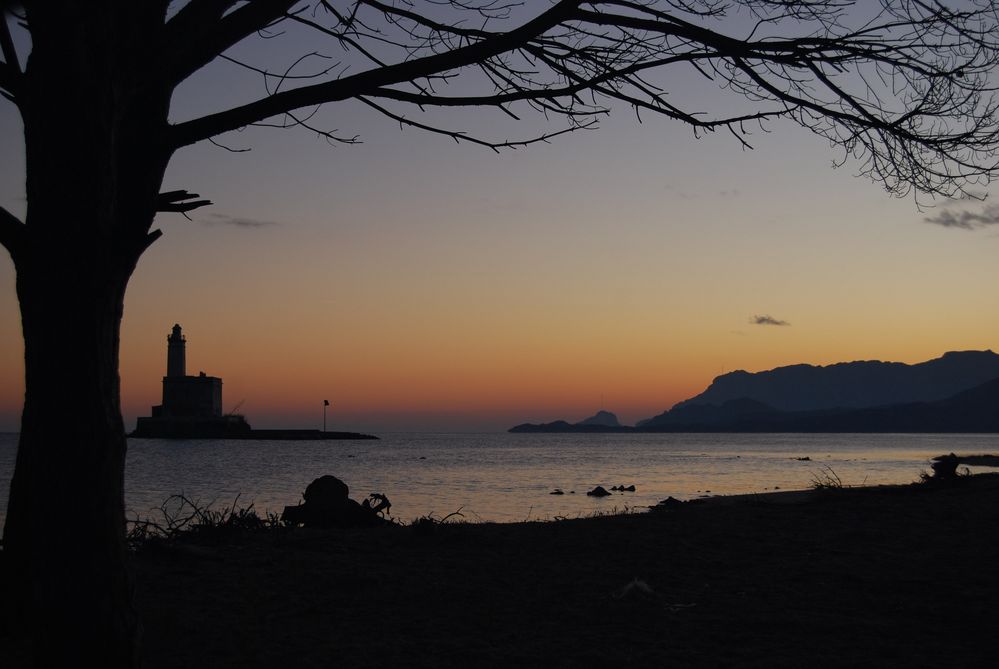 Alba nella splendida Olbia Foto % Immagini| nature, natur, natura Foto ...