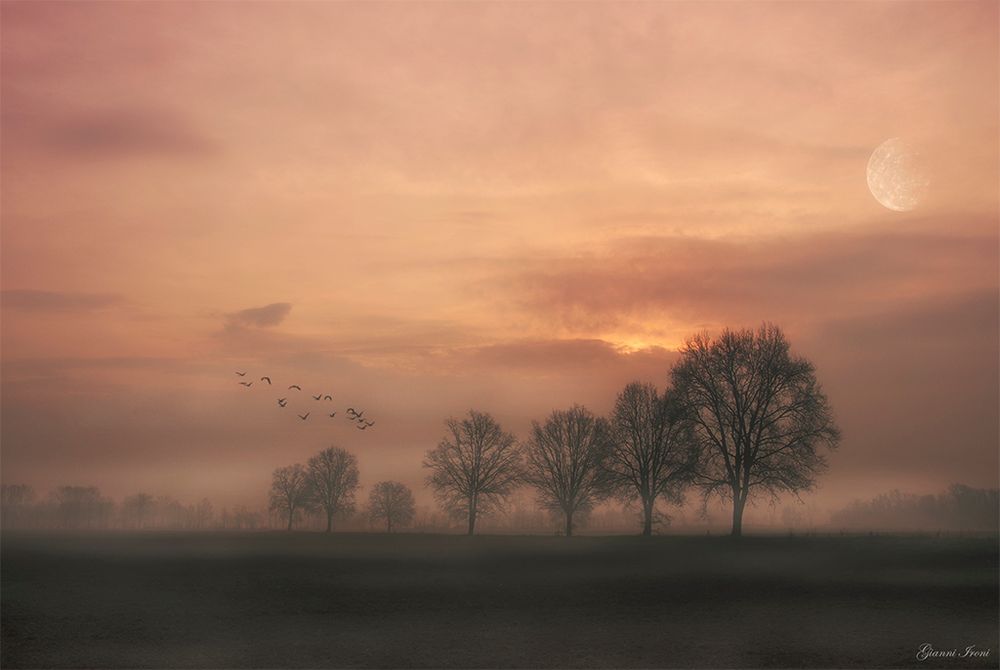 alba rossa Foto % Immagini| paesaggi, natura Foto su fotocommunity