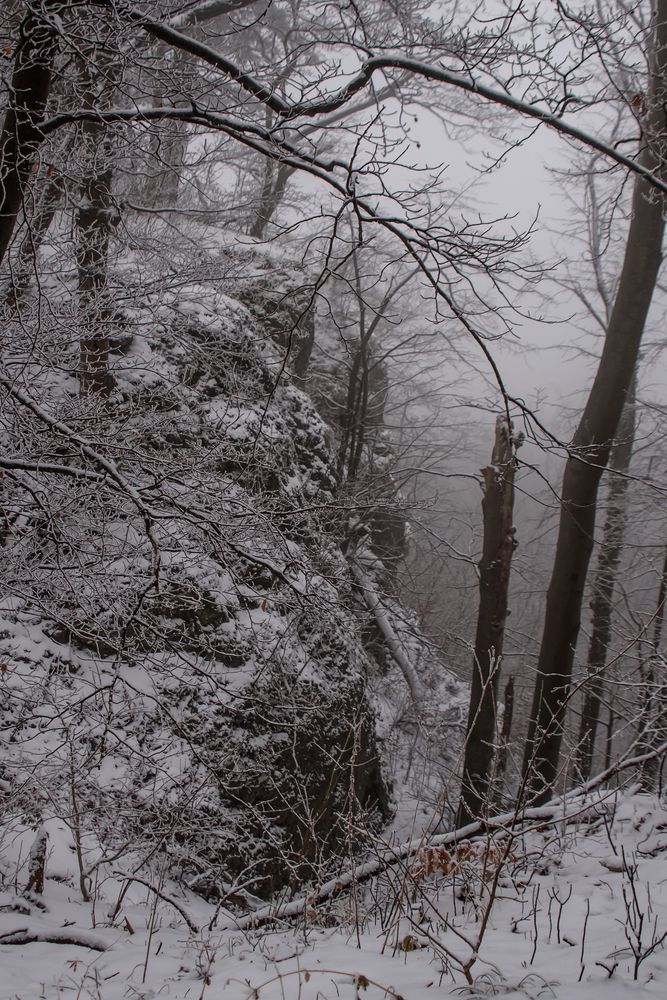 Albrand Foto & Bild | landschaft, jahreszeiten, winter Bilder auf ...