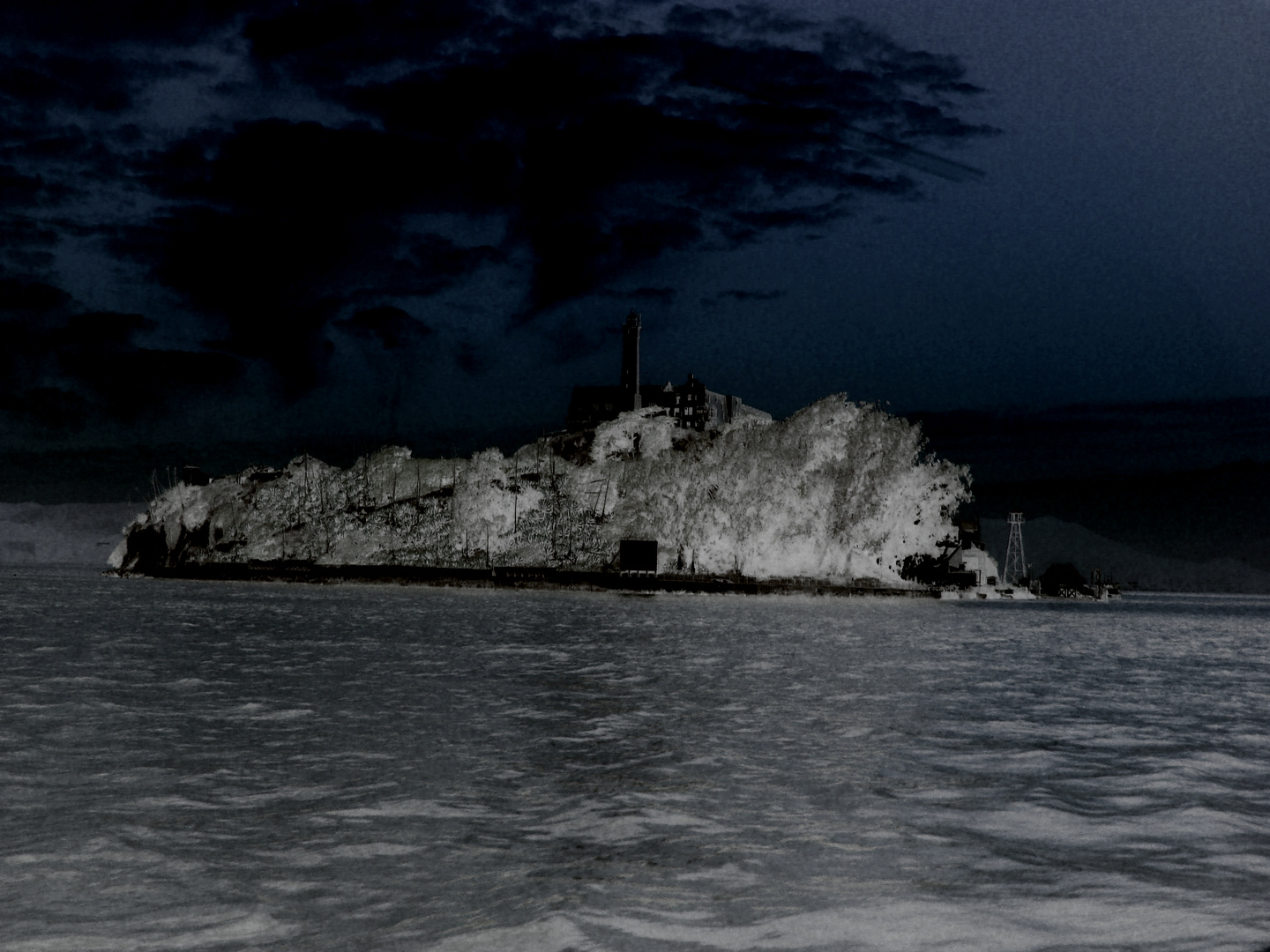 Alcatraz Foto & Bild | nature, sea, landscape Bilder auf fotocommunity