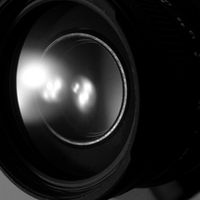 Alessandro Gitto - Fotos & Foto - Autore di Collesalvetti, Italia ...