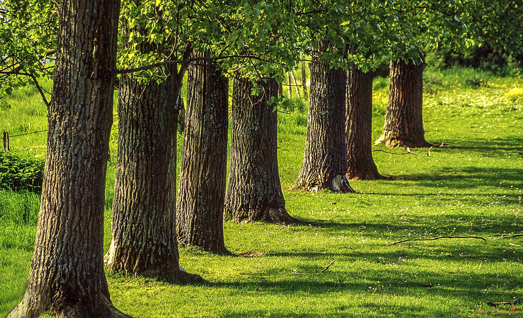 Alignement photo et image | animations photographiques, un jour - une ...