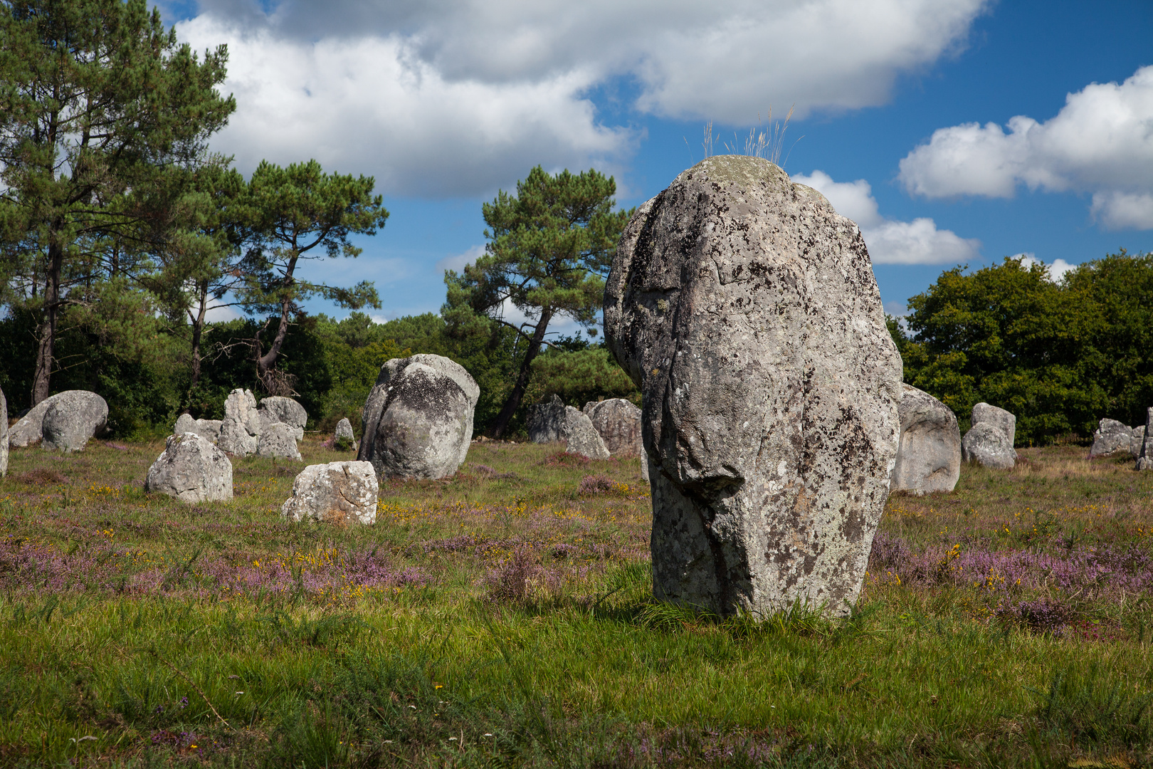 Alignements de Kerlescan Foto & Bild | france, world, bretagne Bilder ...