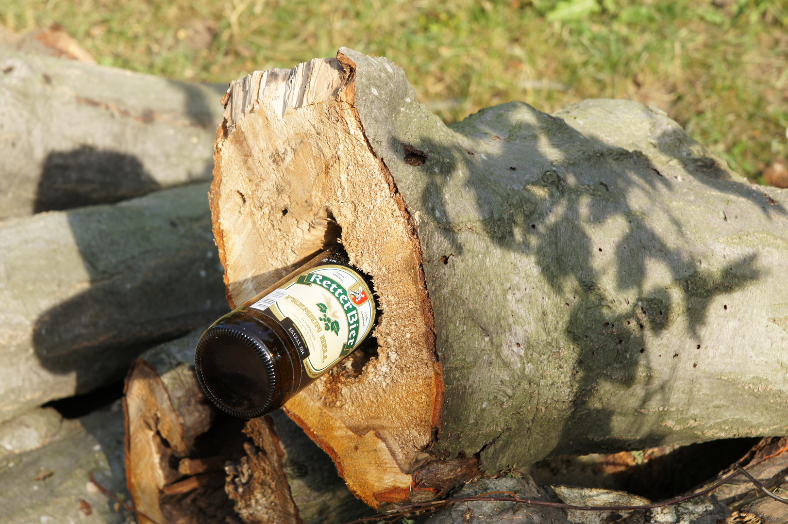Alkohol kranker Baum Foto & Bild | sonstiges, witziges ;o), natur ...