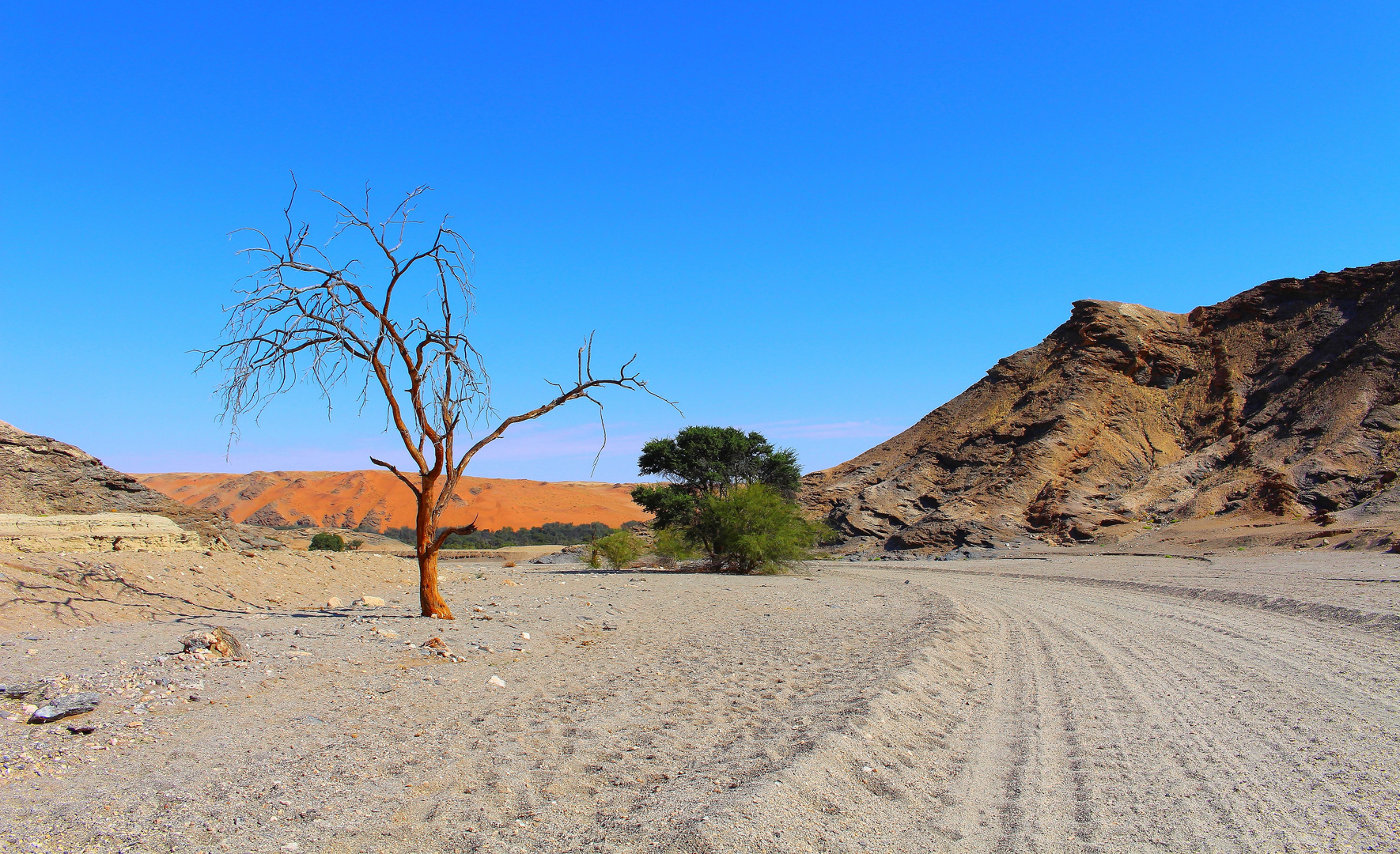 Alle Farben der Wüste. Foto & Bild | africa, southern africa, namibia ...