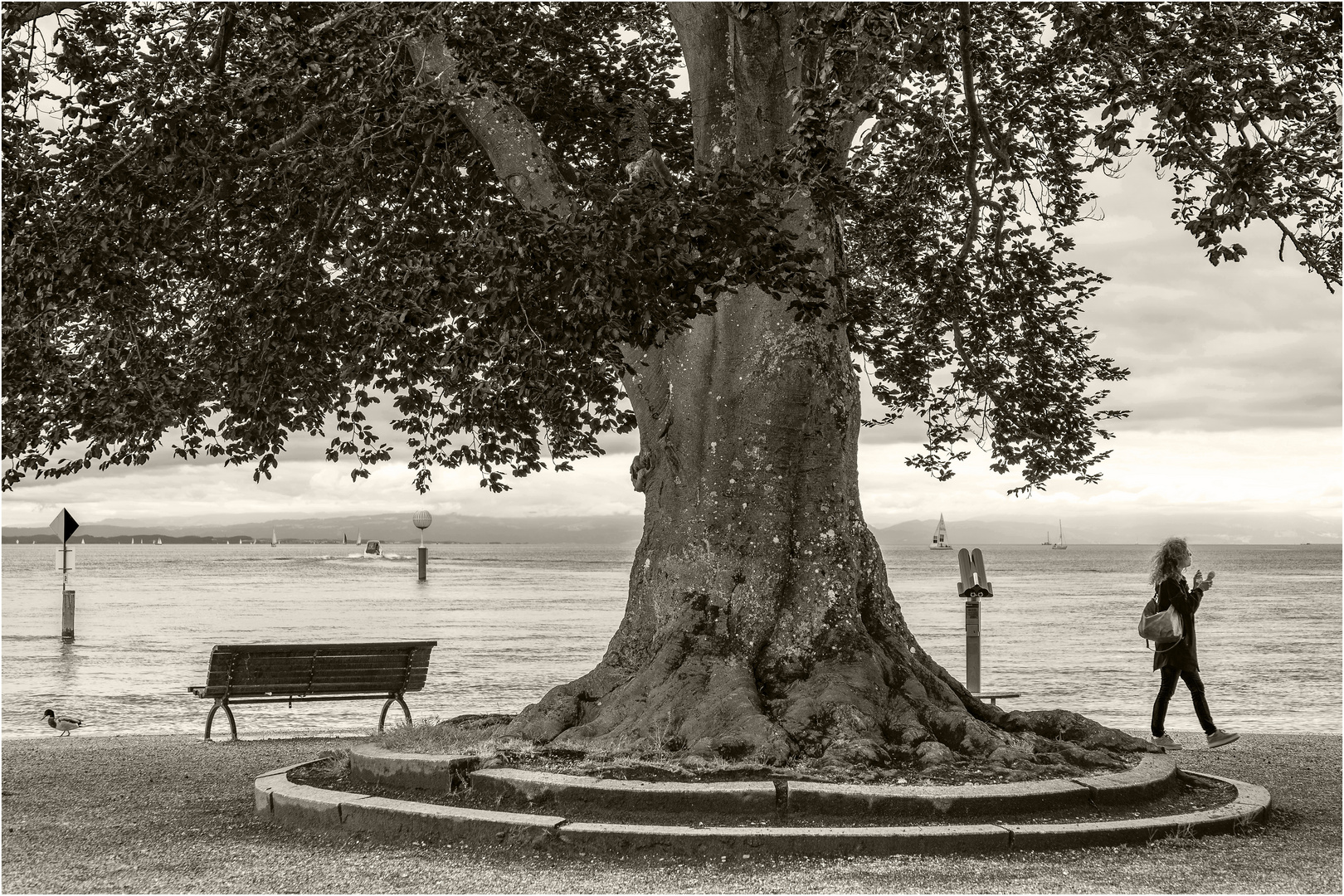 Alle fliehen ... Foto & Bild | pflanzen, pilze & flechten, landschaft ...