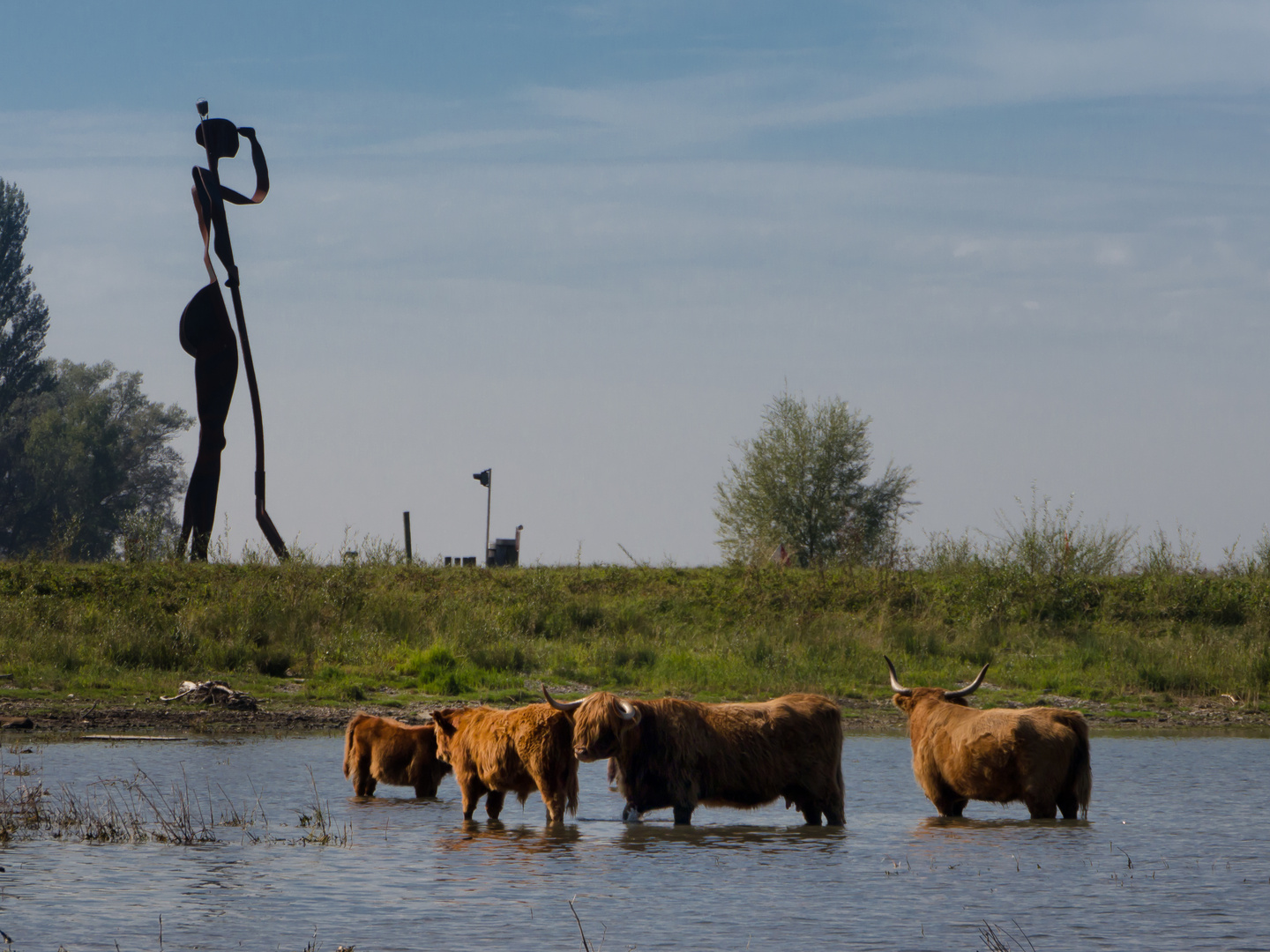 Alle Schäfchen im Blickfeld Foto & Bild | landschaft, bach, fluss & see ...