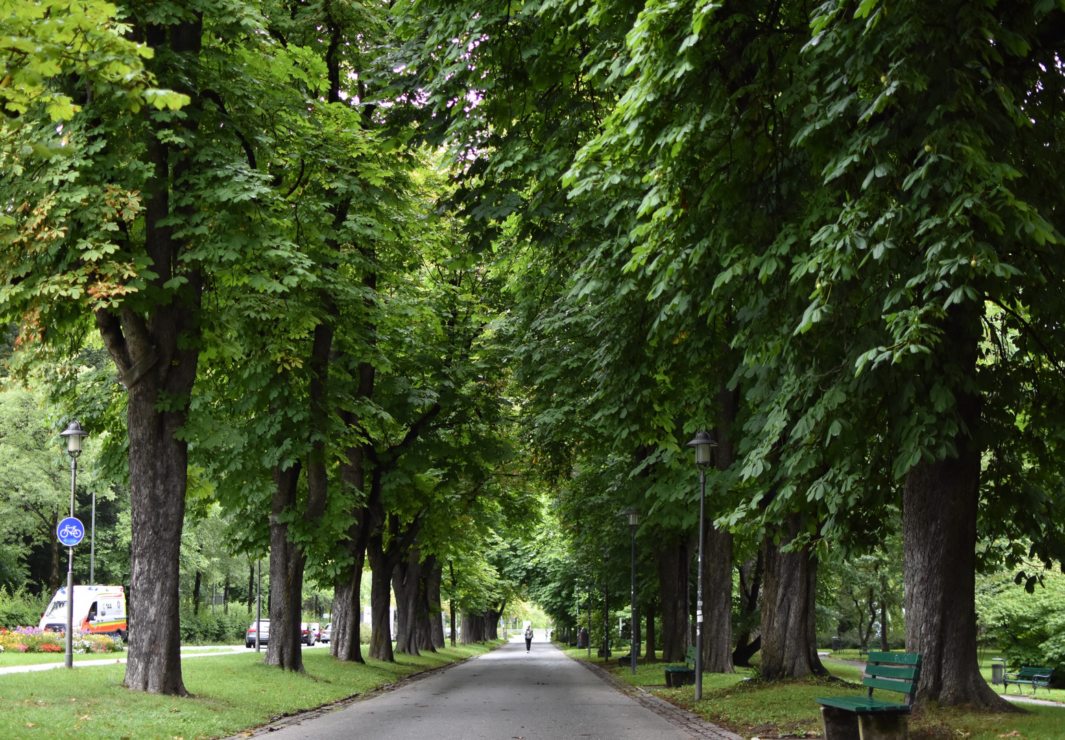 Allee Foto & Bild | spezial, menschen, allee Bilder auf fotocommunity