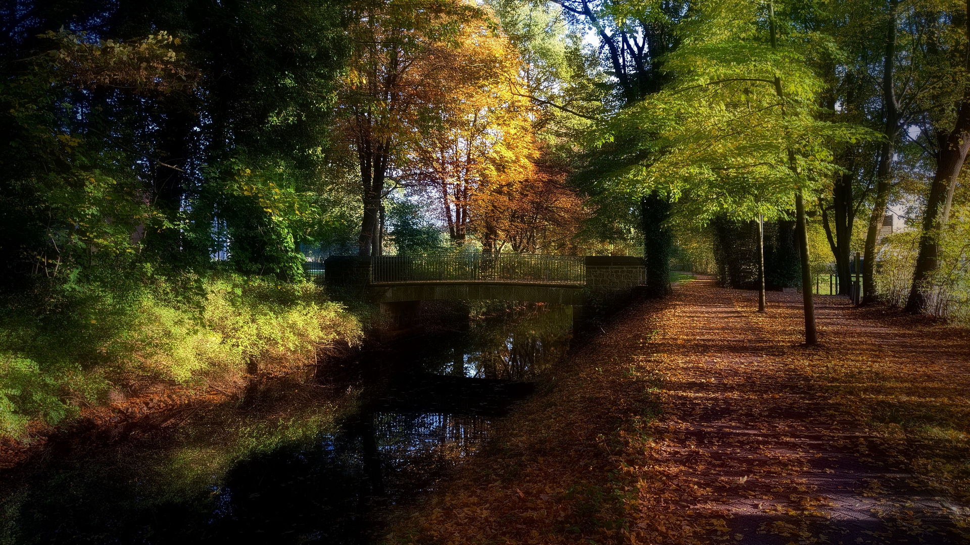 Allee Foto & Bild | landschaft, alleen, bäume Bilder auf fotocommunity